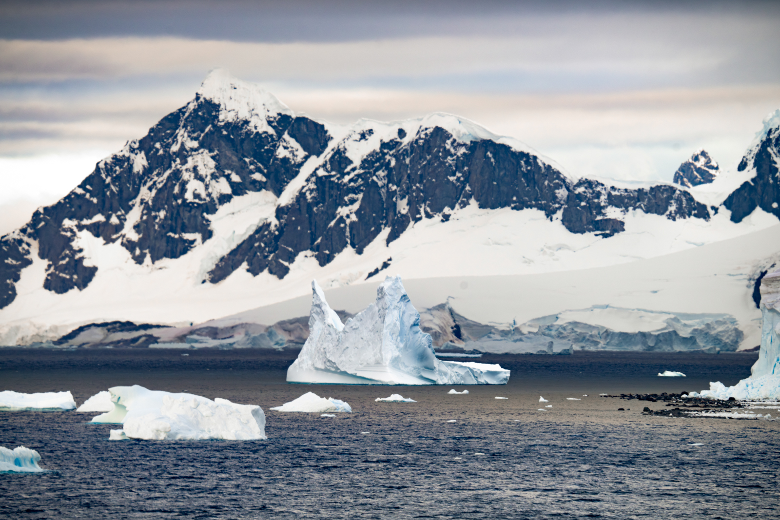 Visiting Antarctica With Azamara Voyages: A Chilling Adventure - Erin Cohen