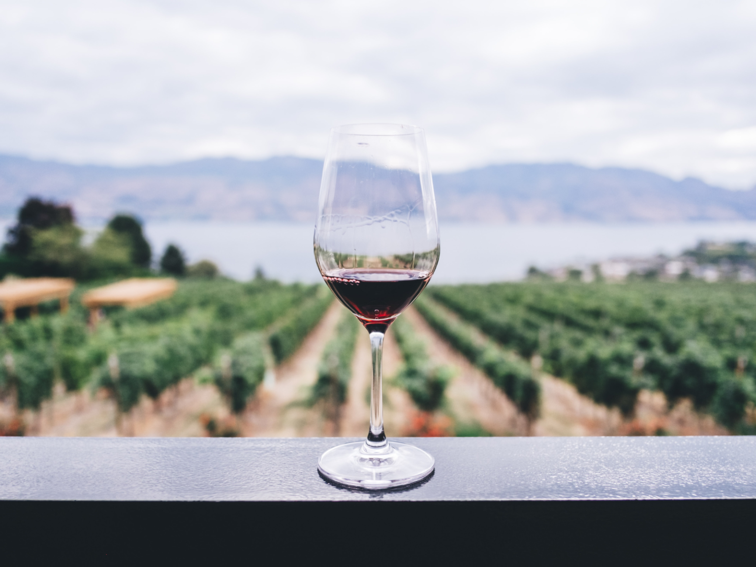 Wine Captions To Help You Un-Wine! - Erin Cohen